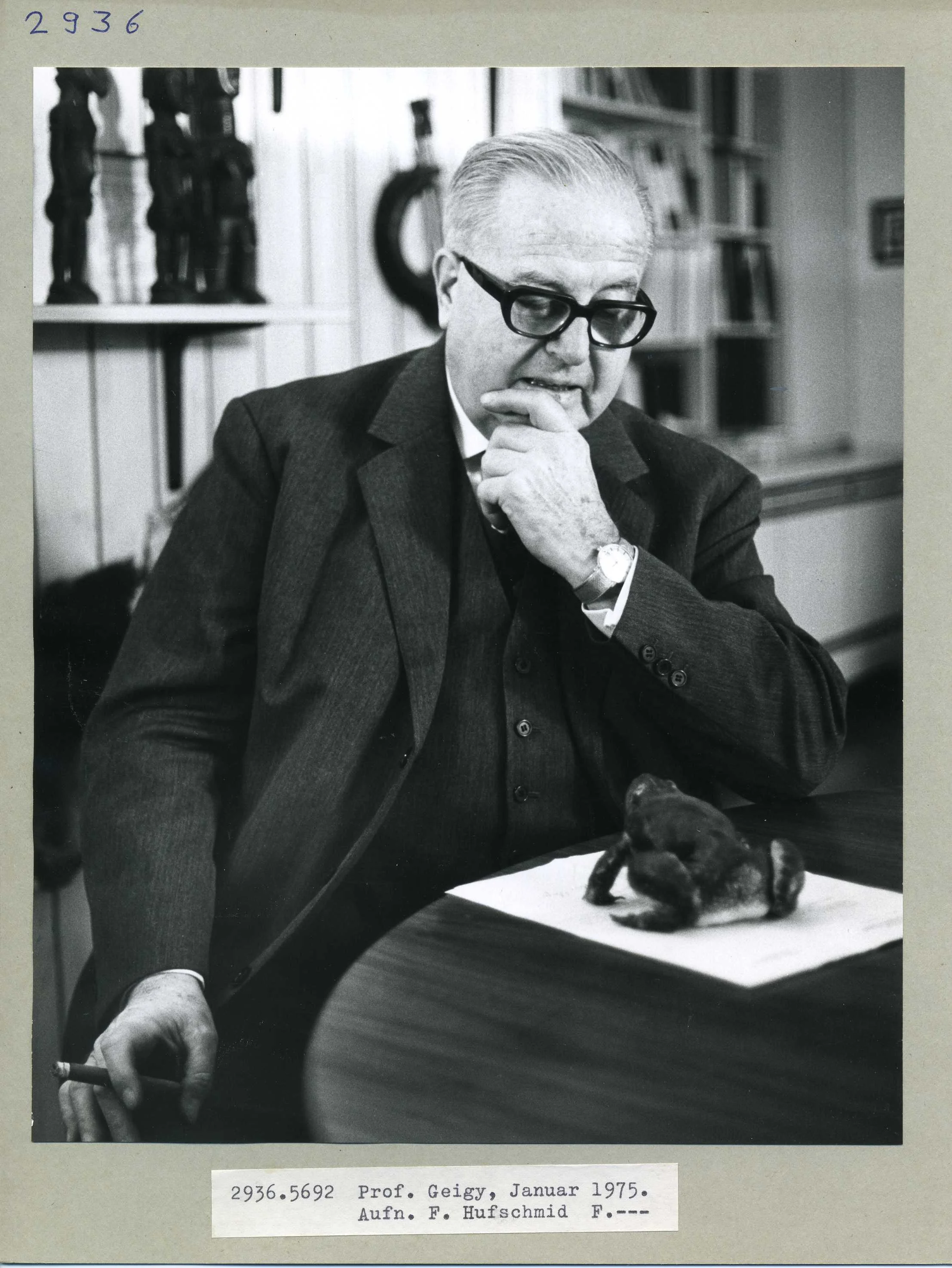 Images — Kris Newby