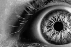 Looking Fear in the Eye: The Psychology and Symbolism of Eyes in Horror ...