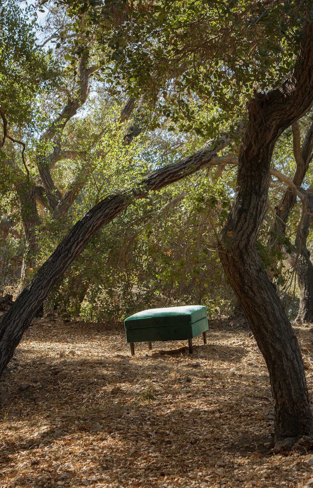 LEE LEVY - EXTERIOR — Lee Levy