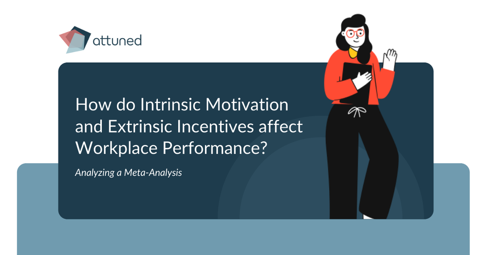 How do Intrinsic Motivation and Extrinsic Incentives affect Workplace ...