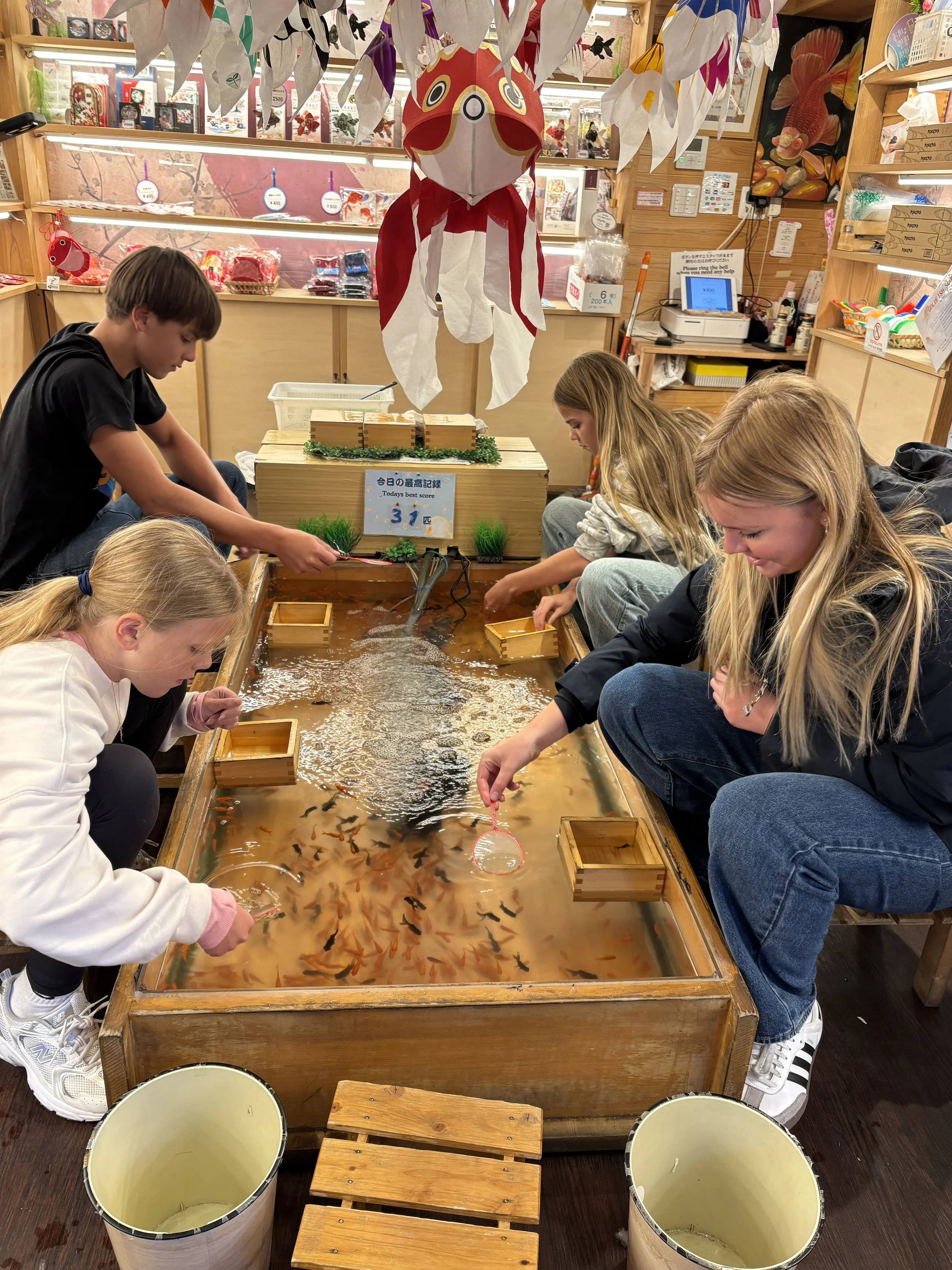 A Guide to Goldfish Scooping in Japan | Tokyo Things To Do 2025 — Hello ...