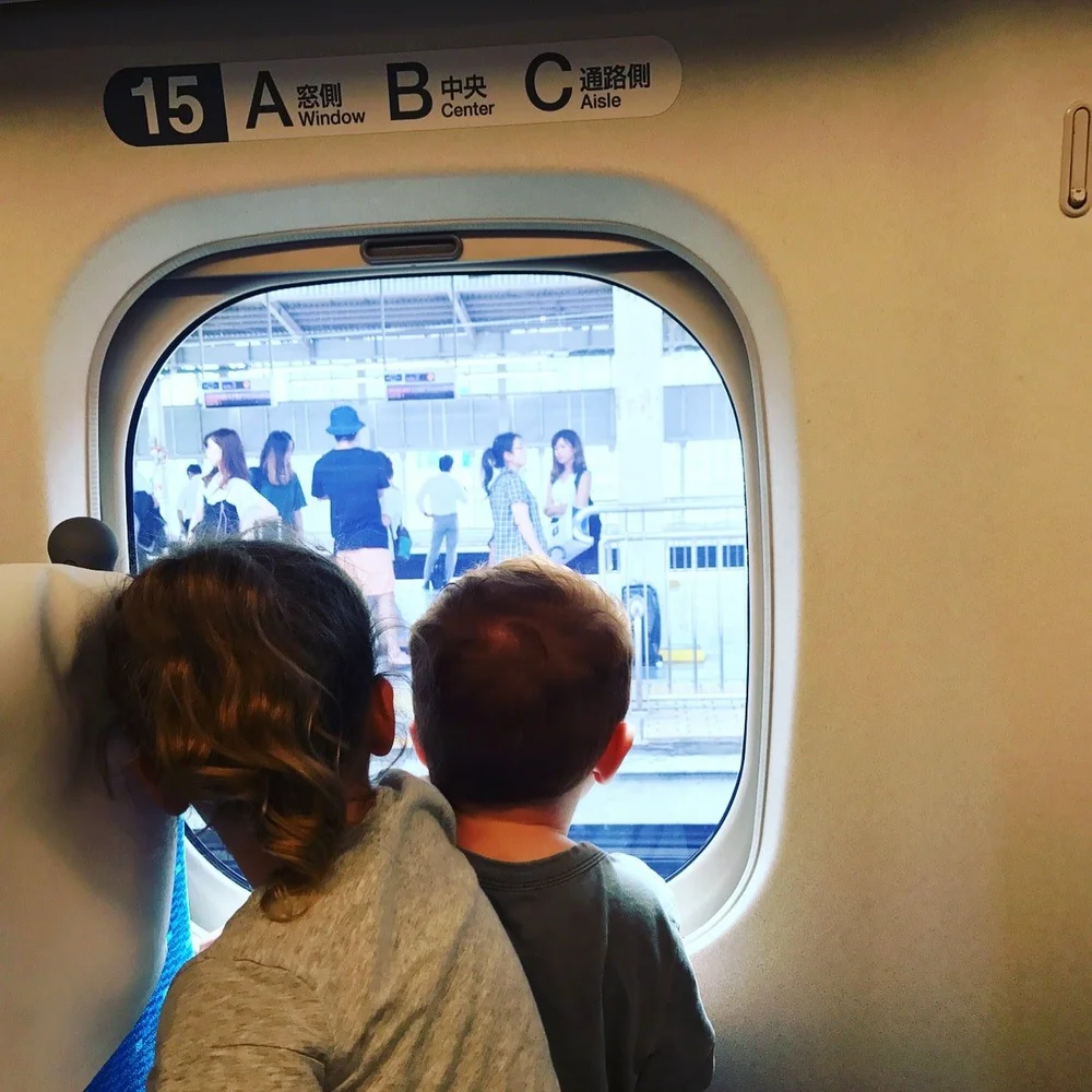 Choosing the Perfect Seat: Exploring Shinkansen Ticket Option in a ...