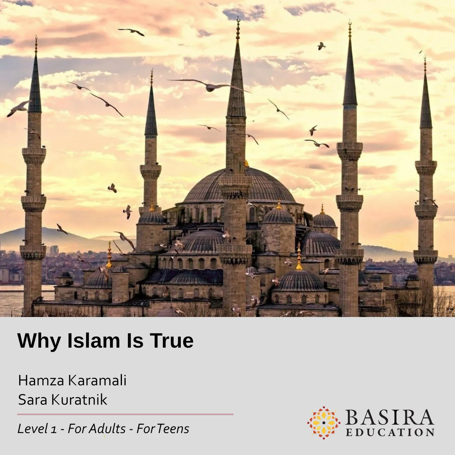 New Courses — Basira Education