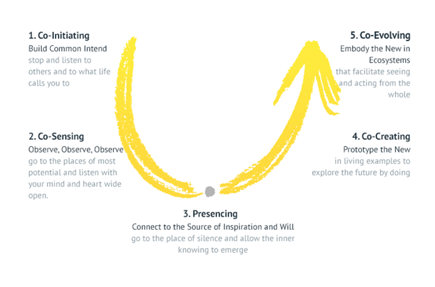Theory U Co Evolving