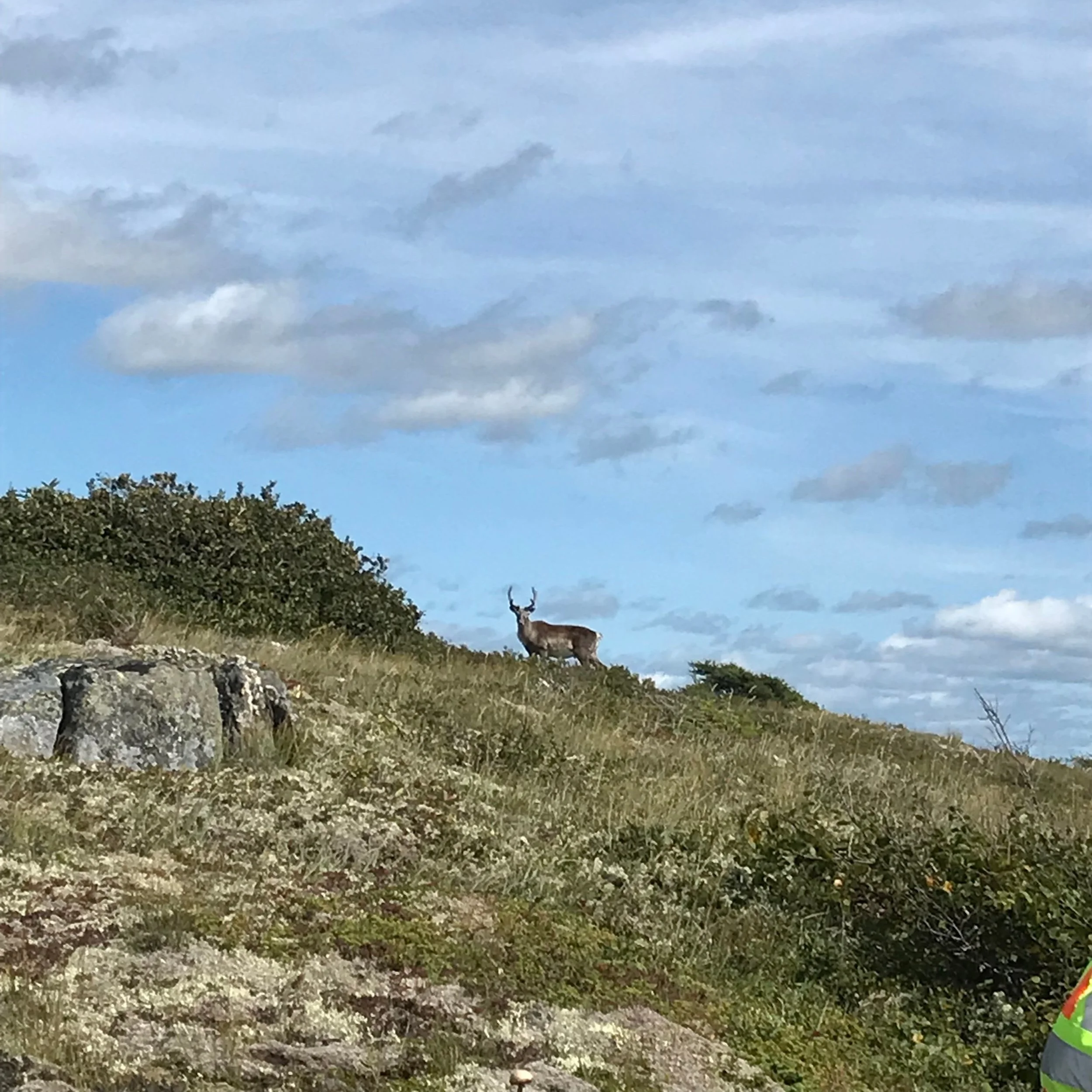 Notes from the Field: Miawpukek First Nation Land Guardians — CRP Website