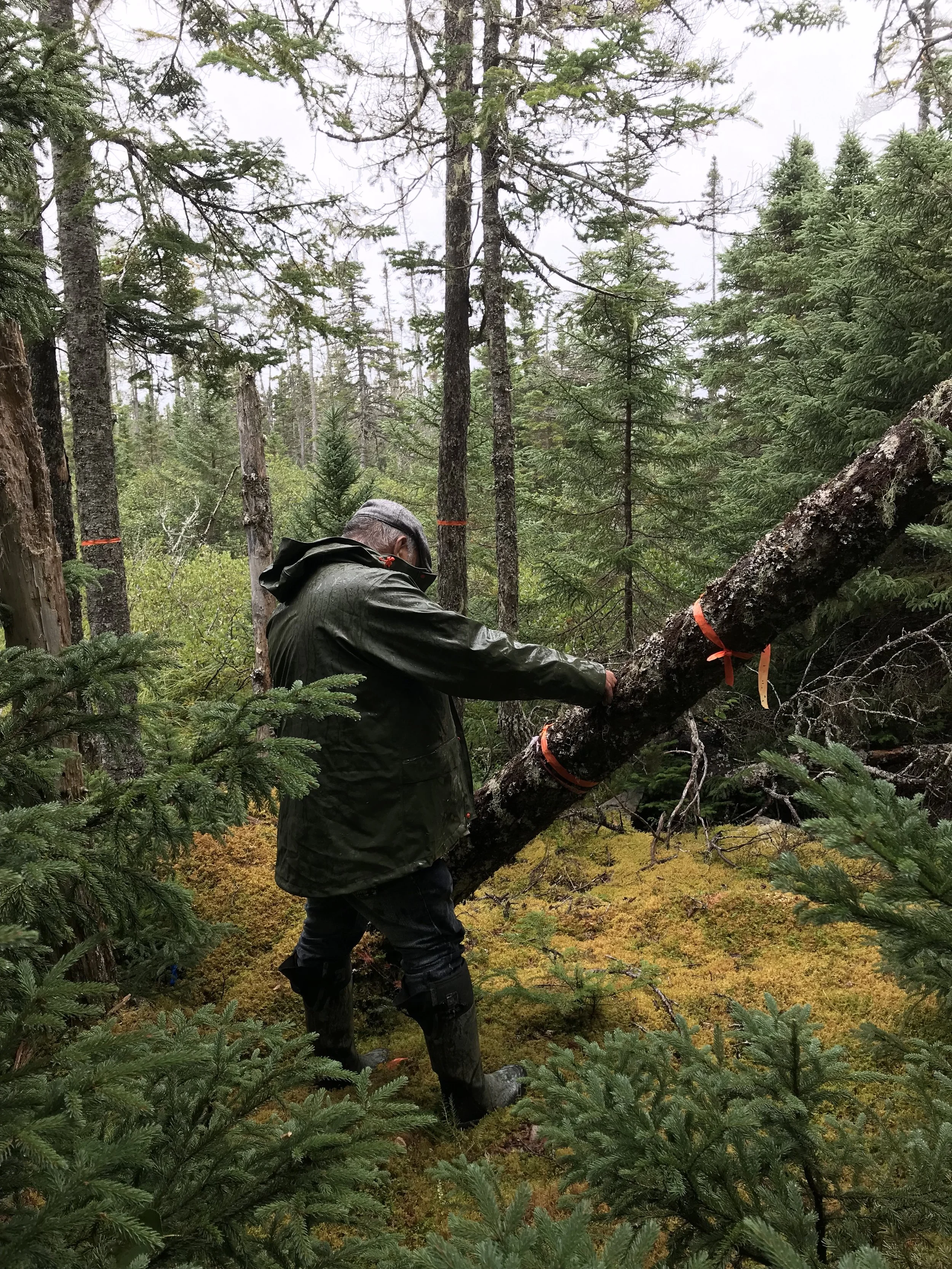 Notes from the Field: Miawpukek First Nation Land Guardians — CRP Website