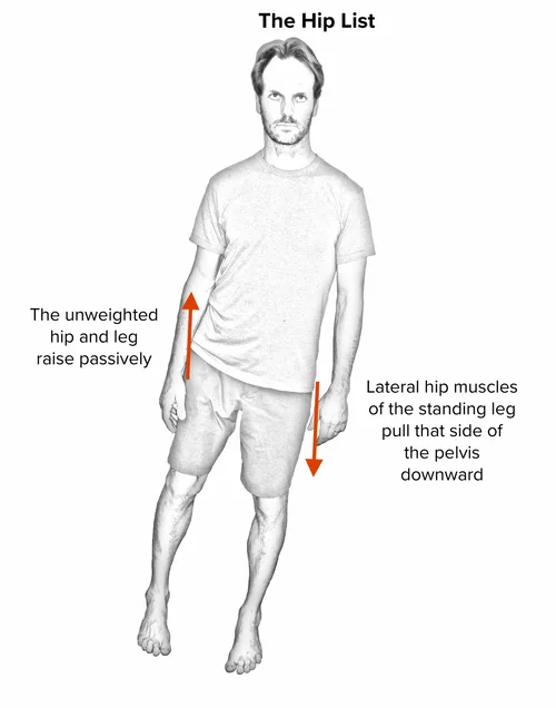 Hip List: 1st Explanation & Exercise — In Aligned Movement