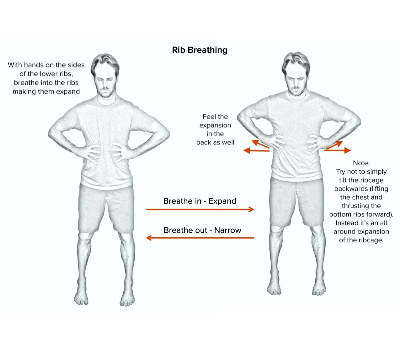 Rib Breathing — In Aligned Movement