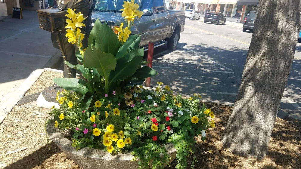 Downtown Development Authority — Loveland Downtown District