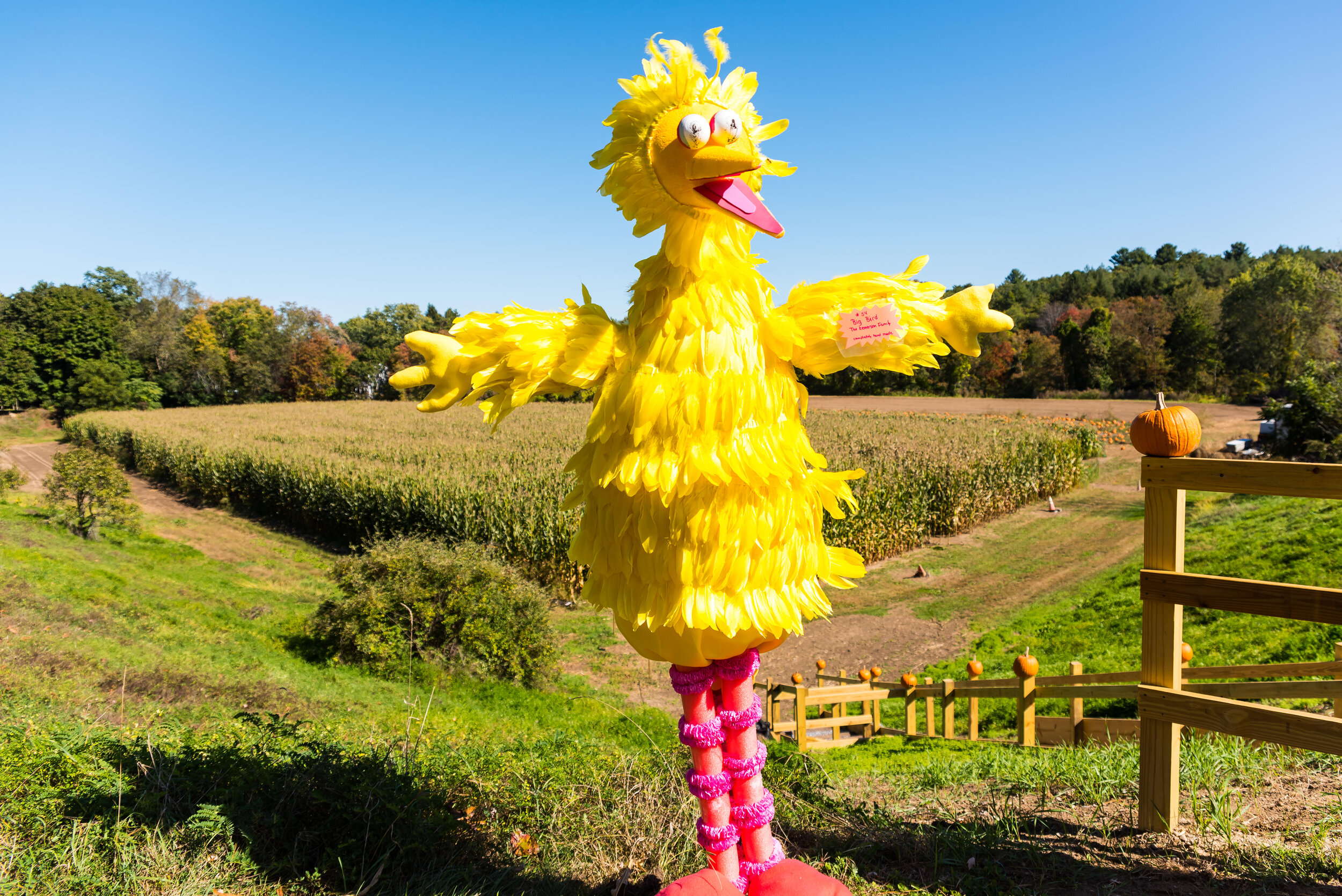 Scarecrow Scavenger Hunt — Loveland Downtown District