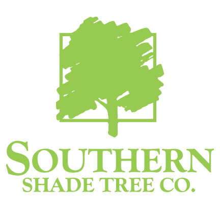 Shade Tree Logo