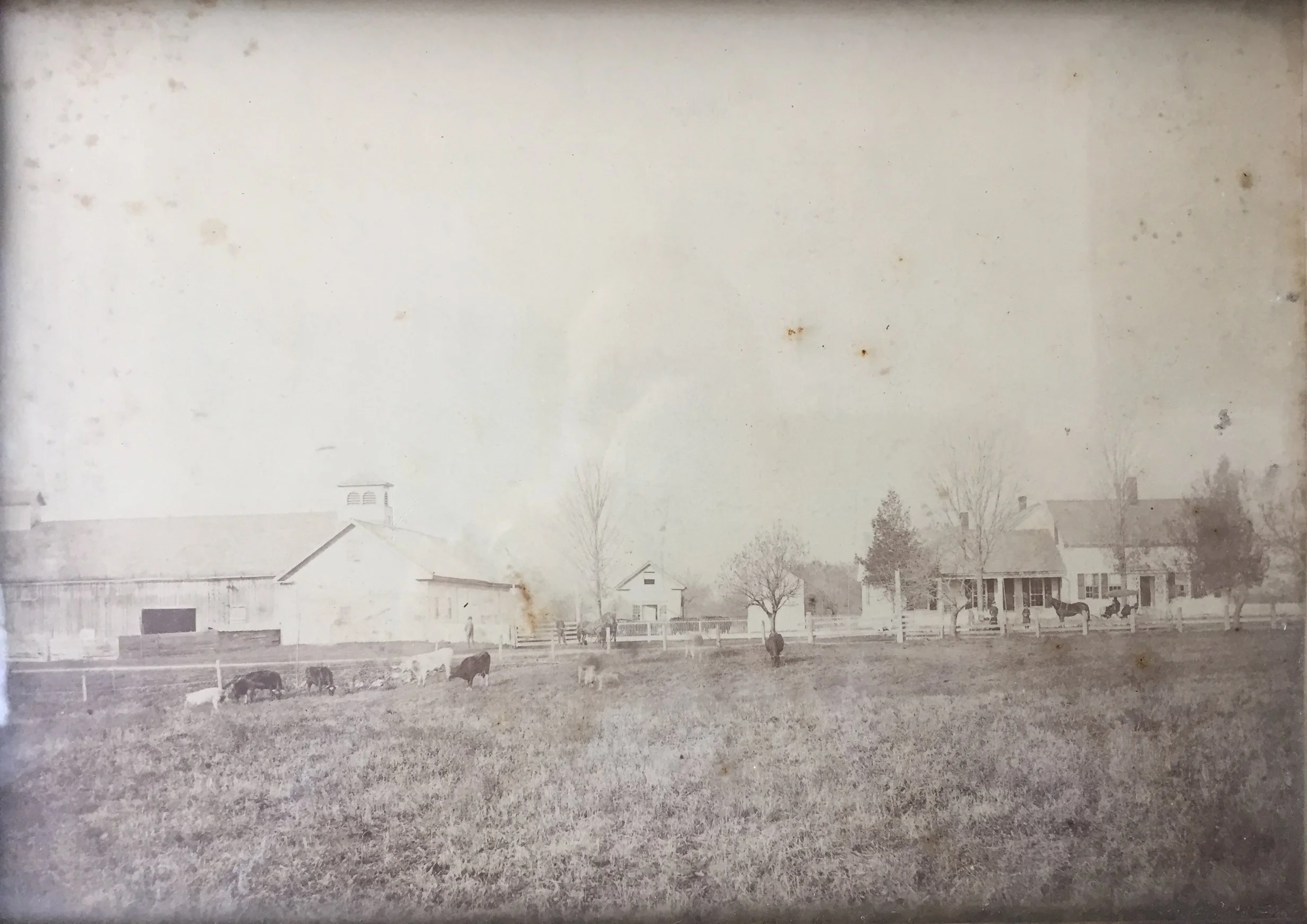 Cadwell Family Farm Established 1845