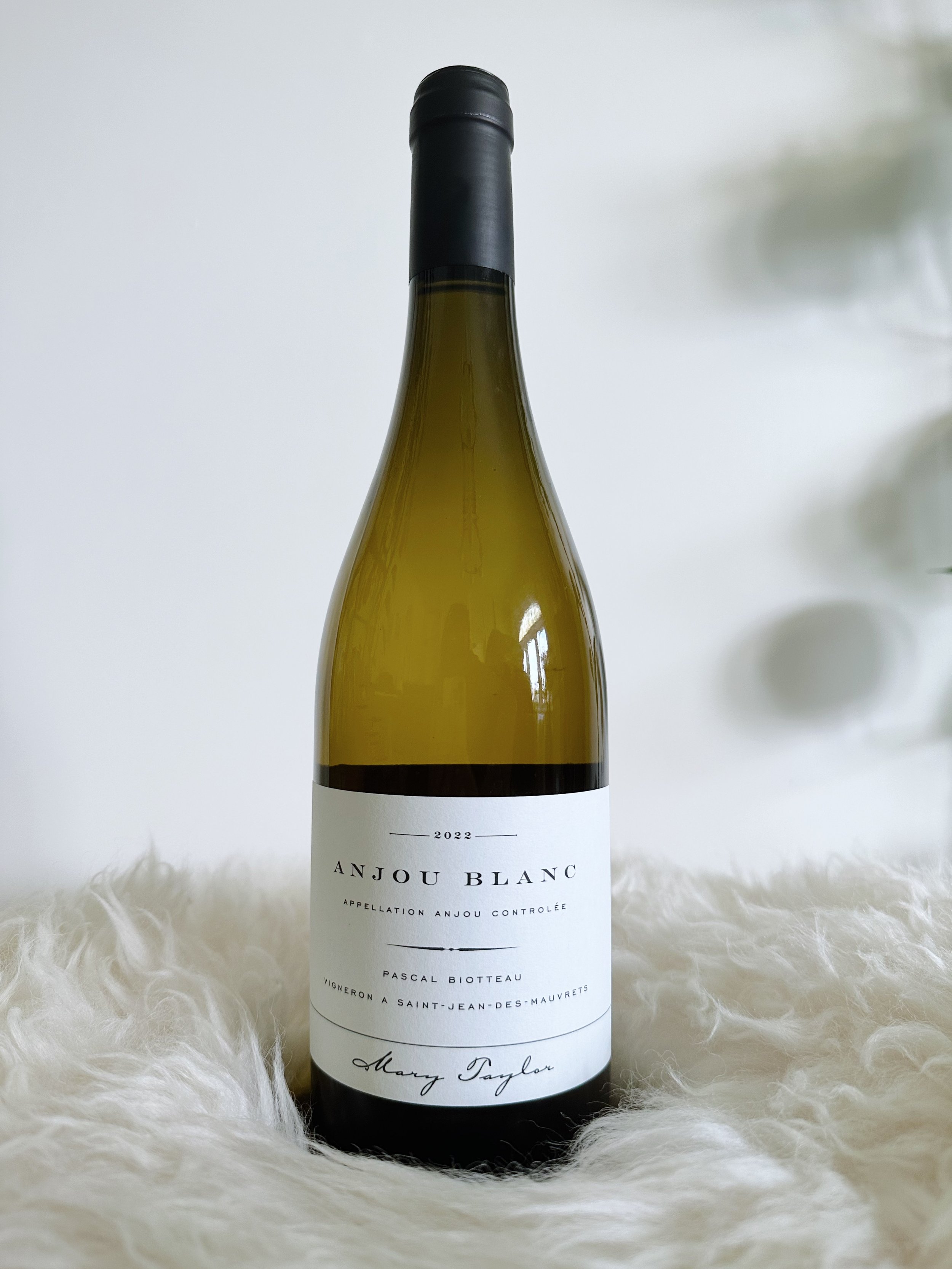 Mary Taylor 2023 Anjou Blanc — The Road