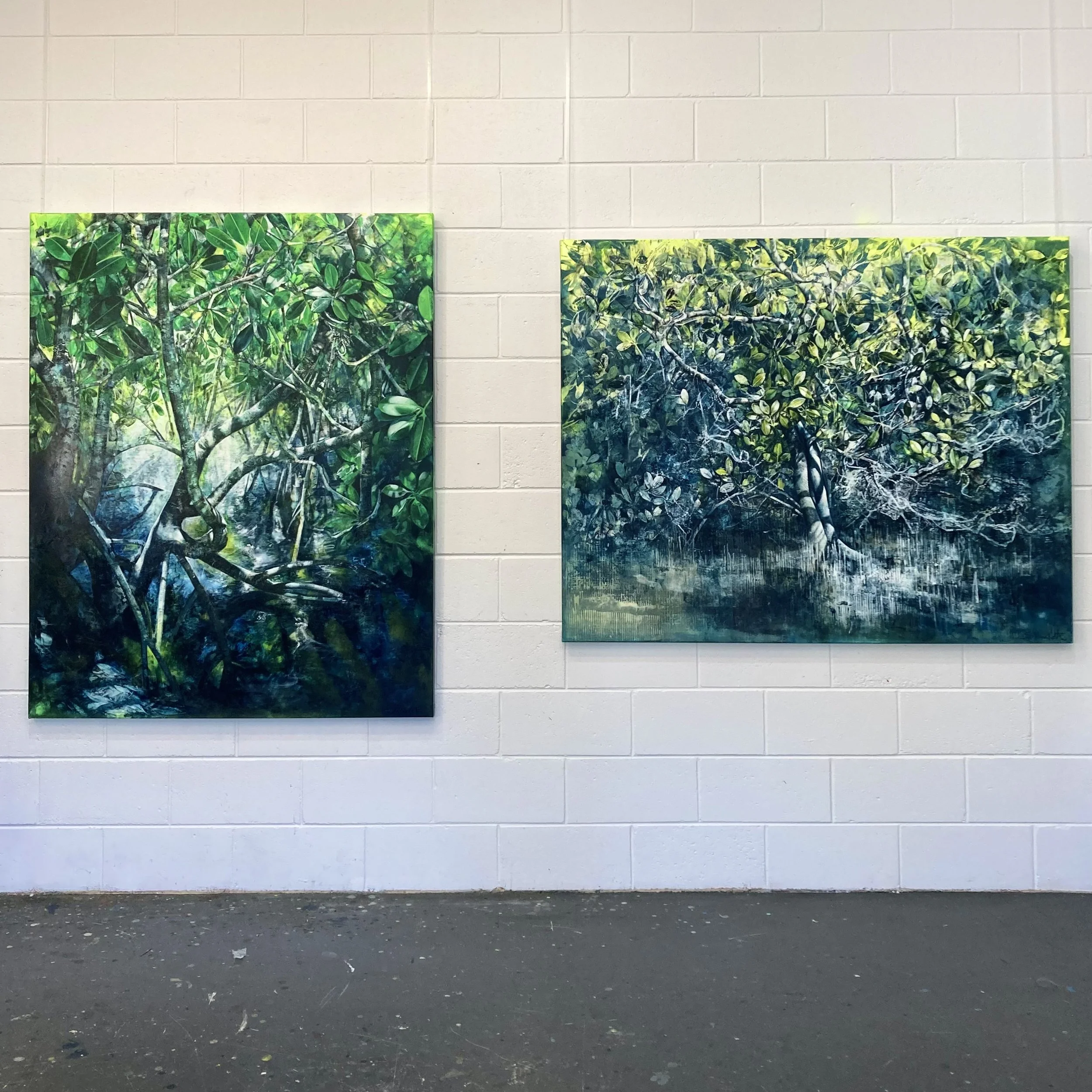 Noosa Opens Studios 2019 - 2024 | Susan Schmidt Art