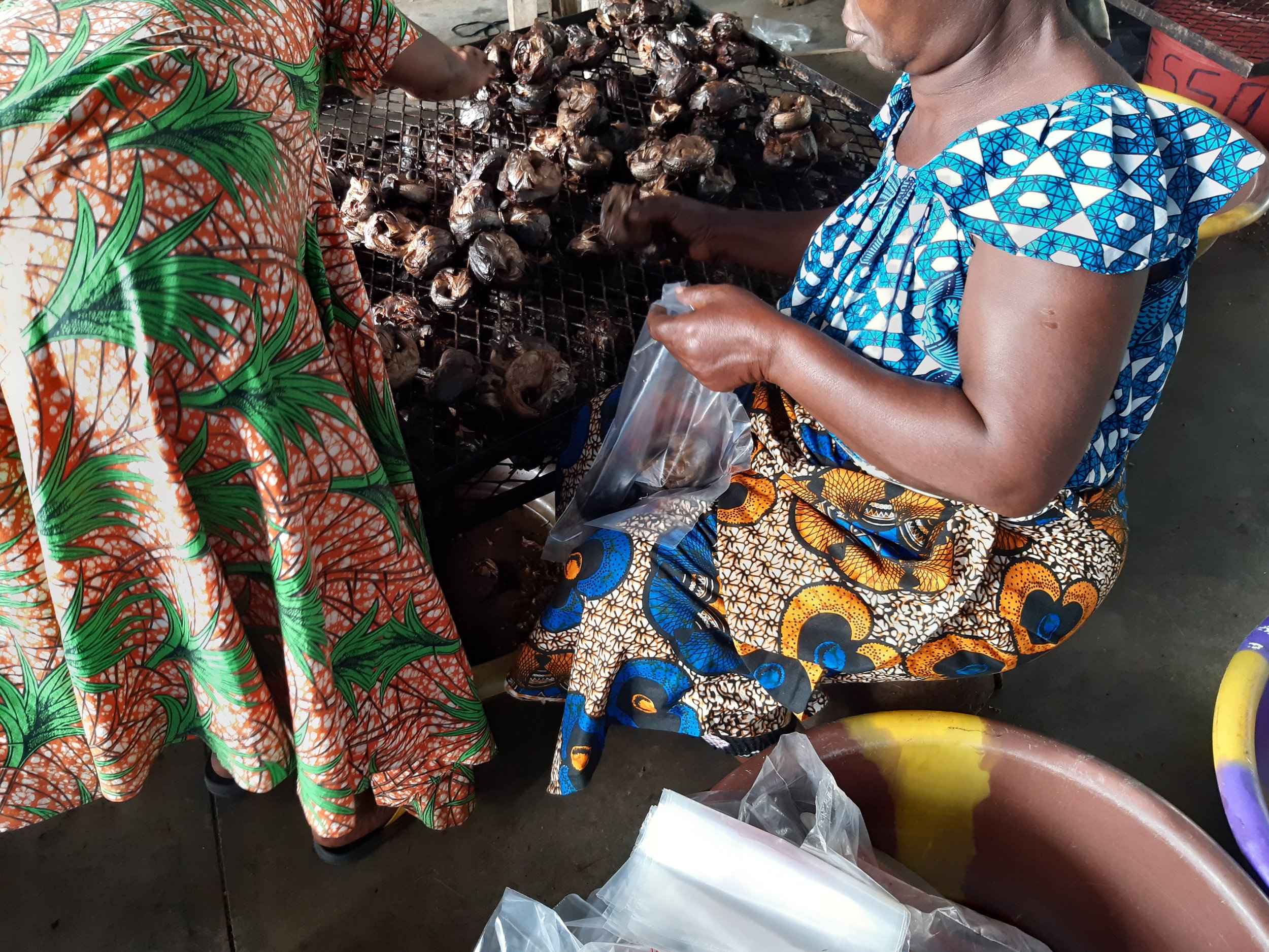 To go far, you have to be together. The Ivorian women in artisanal ...