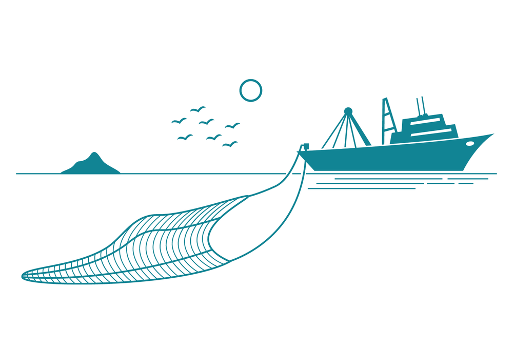 The EU must develop fisheries specific due diligence legislation ...