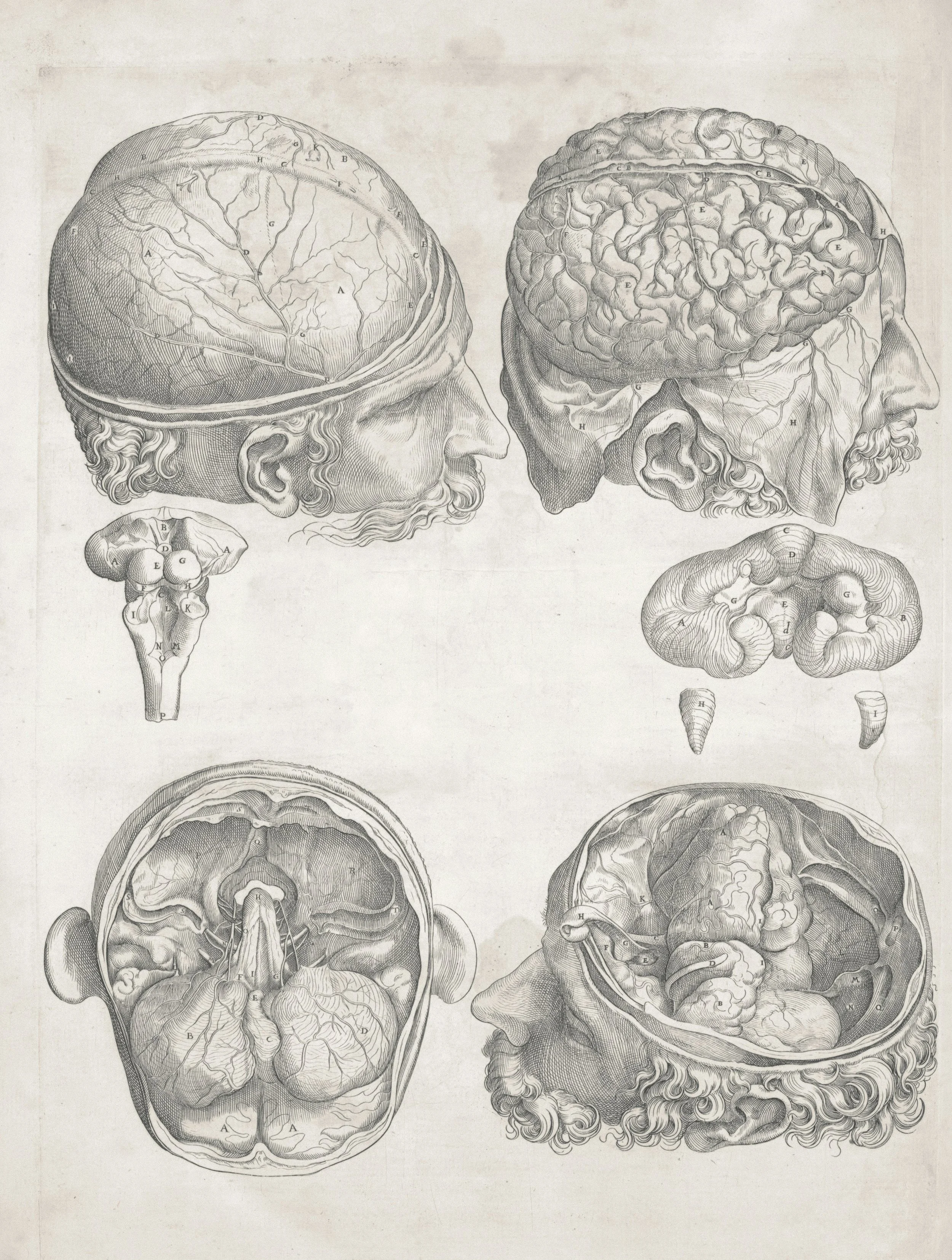 The Neuroscience of Singing: How Our Brains Make Music Possible — The ...