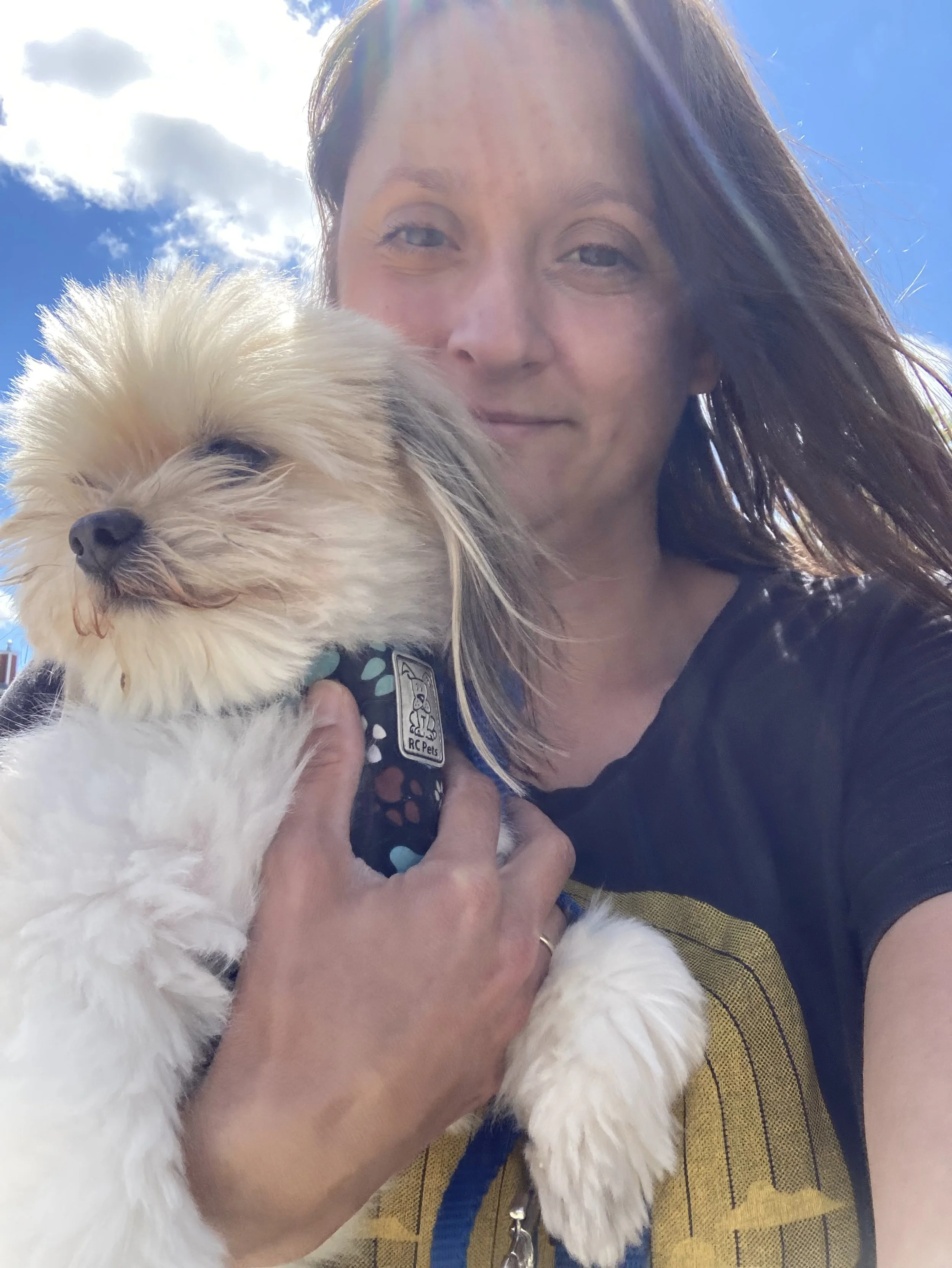 Digby & Company - NW Calgary Dog Walking Service