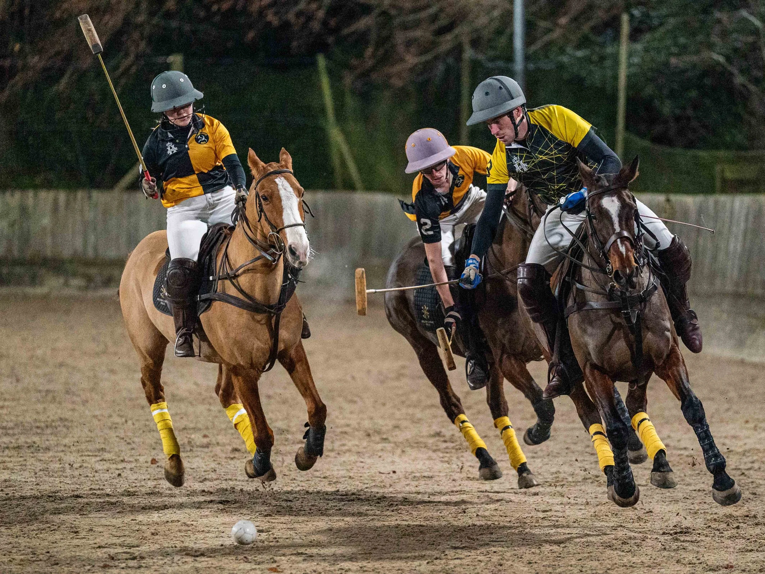 Polo — Michael Berkeley Photography