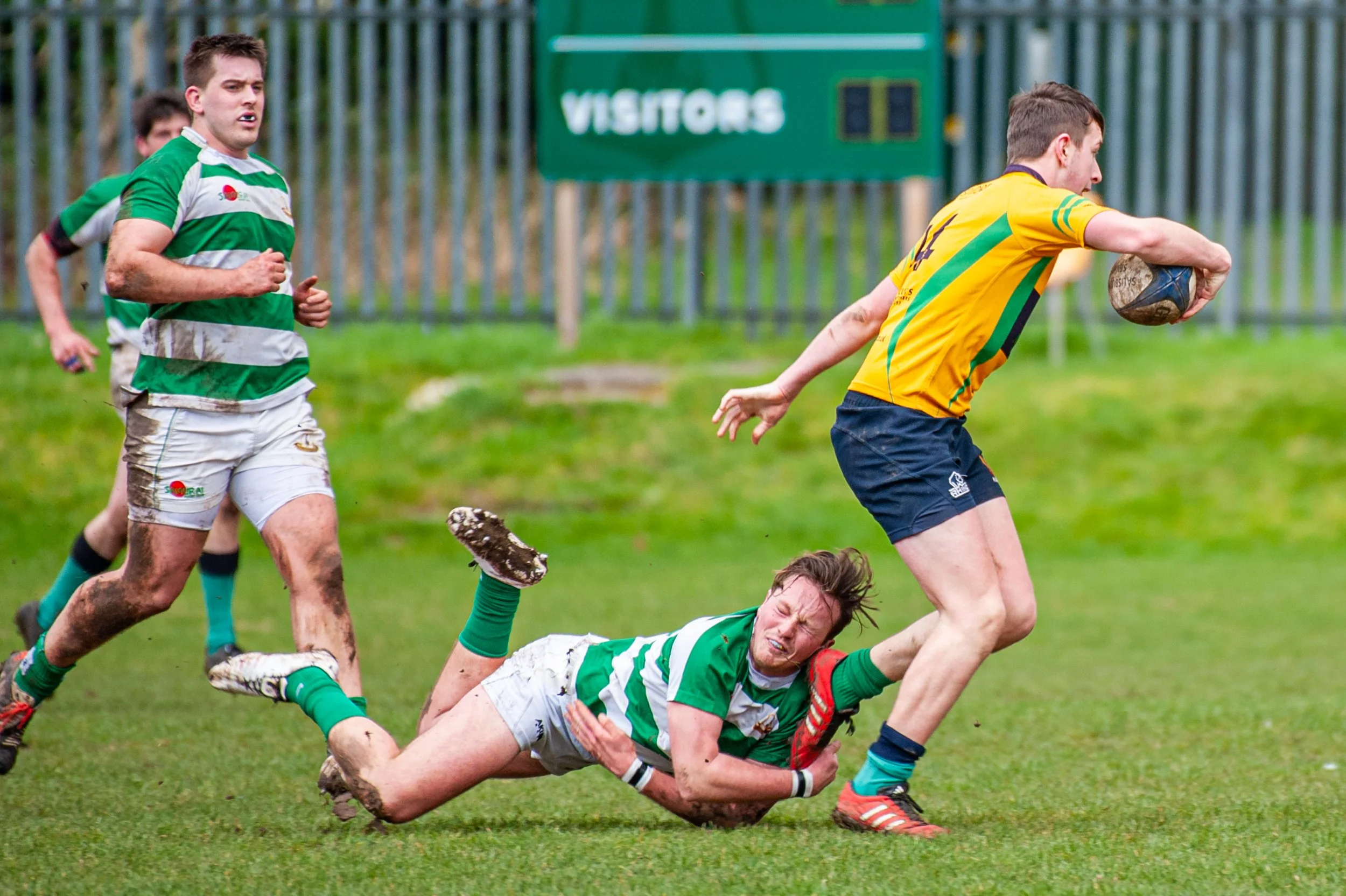 How to Photograph Rugby — Michael Berkeley Photography