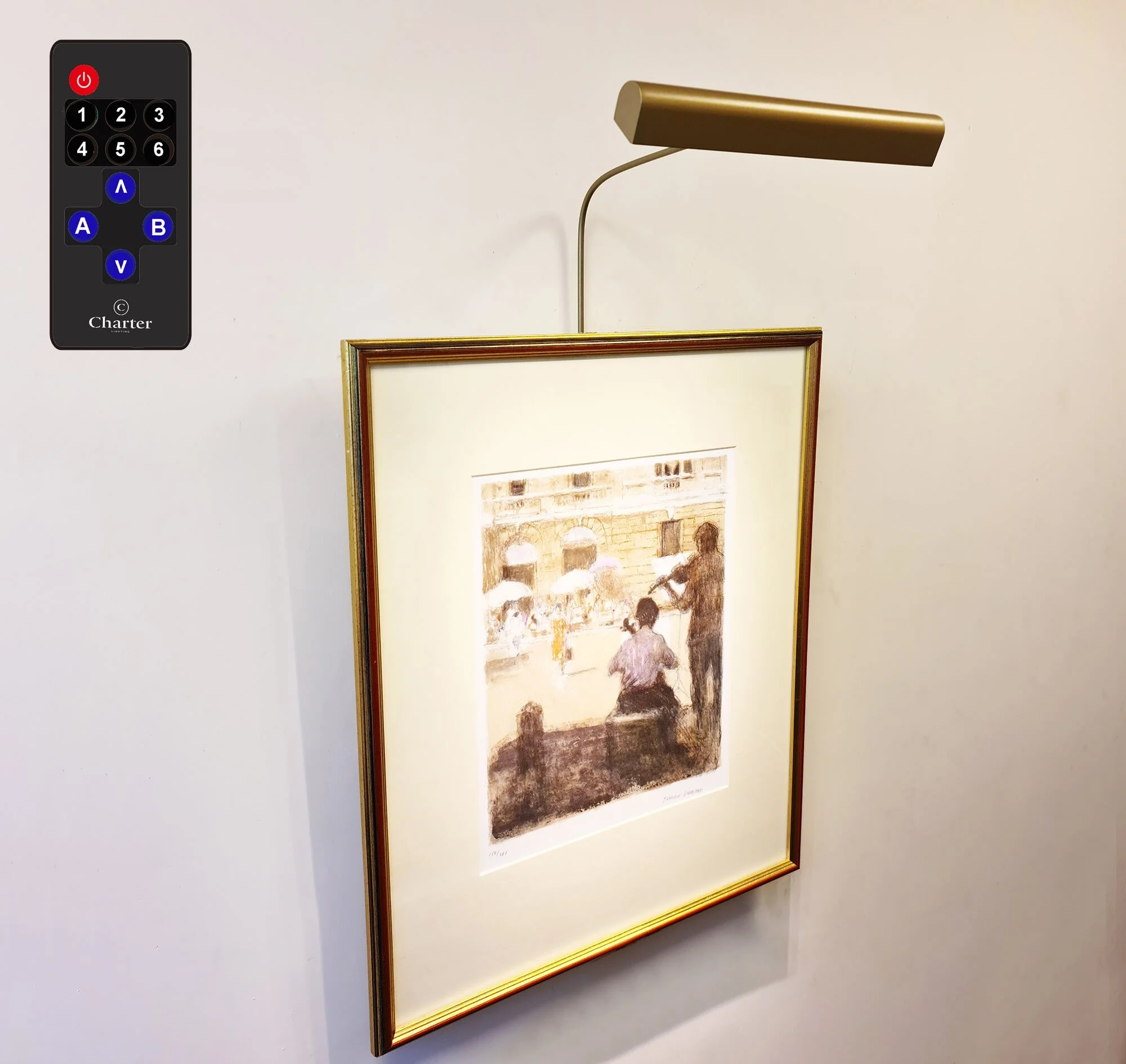 LED Art/Picture Lighting Store - Charter Lighting