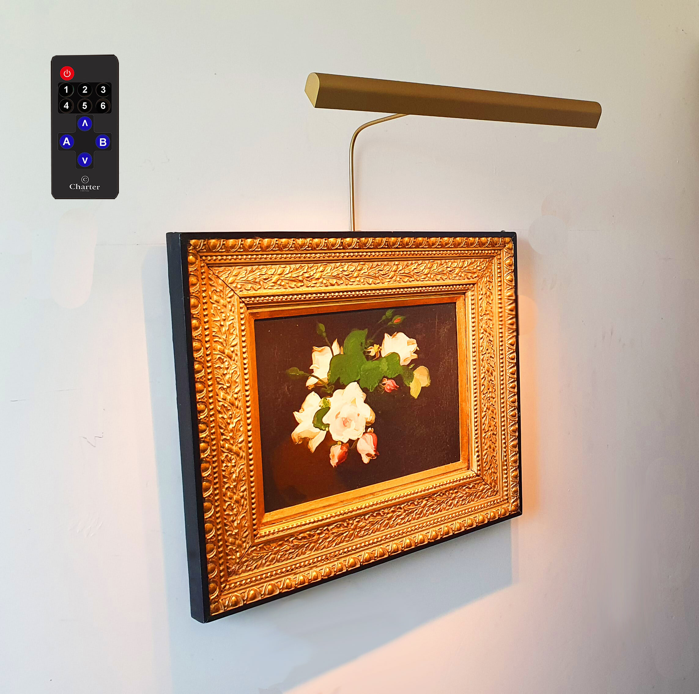 LED Art/Picture Lighting Store - Charter Lighting