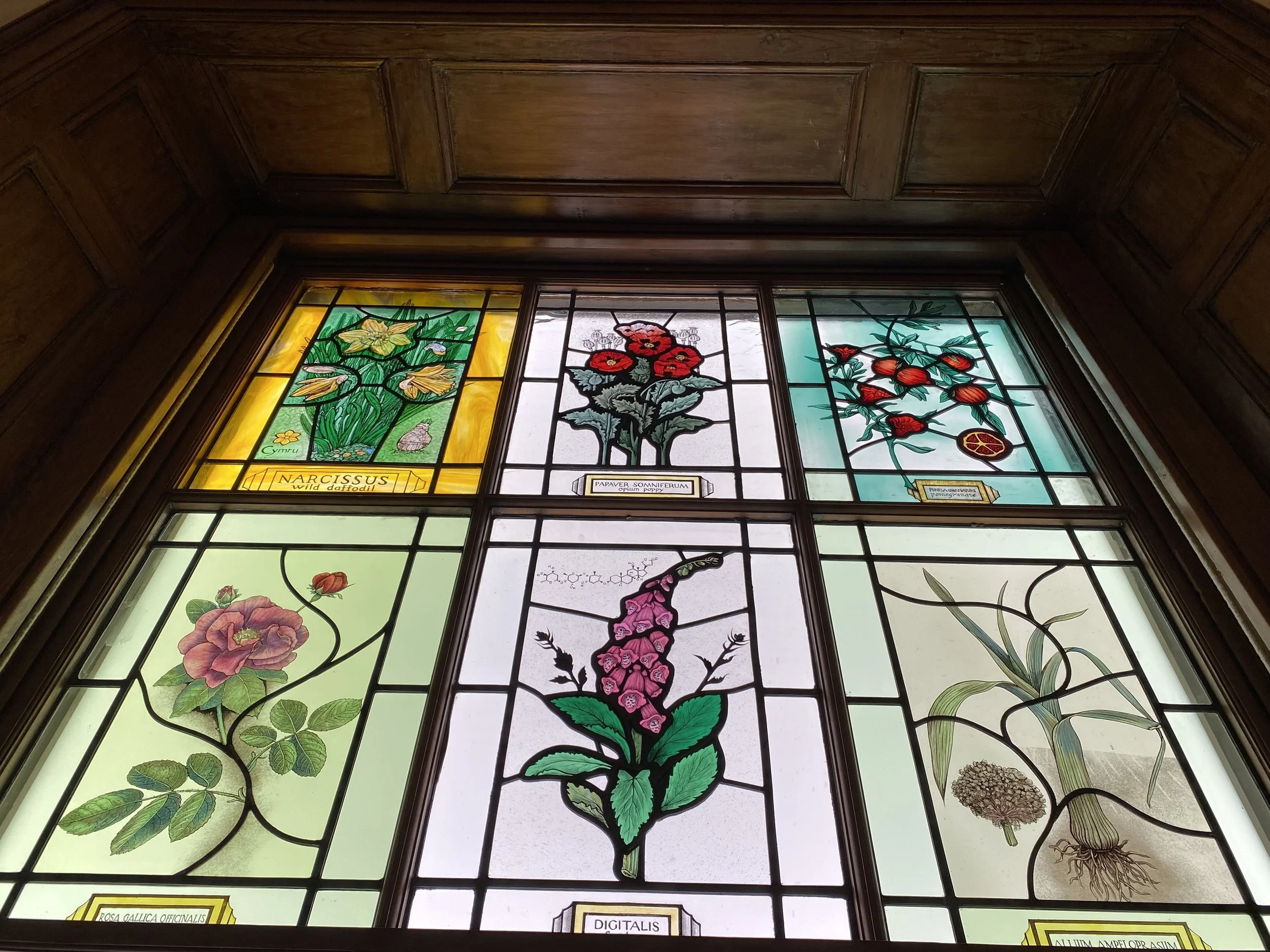 Apothecaries Hall - Stained Glass Windows - Charter Lighting
