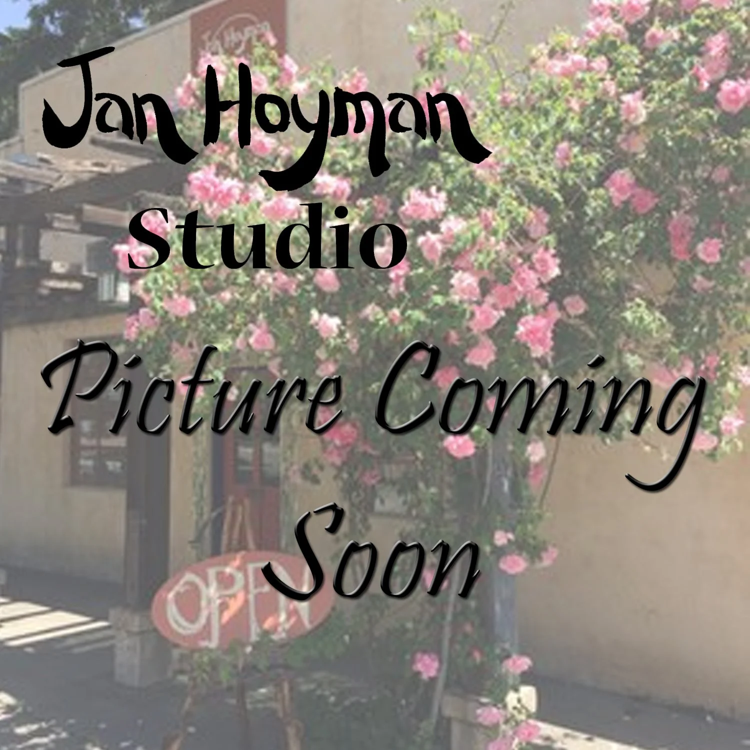 Serving Pieces — Jan Hoyman Studio