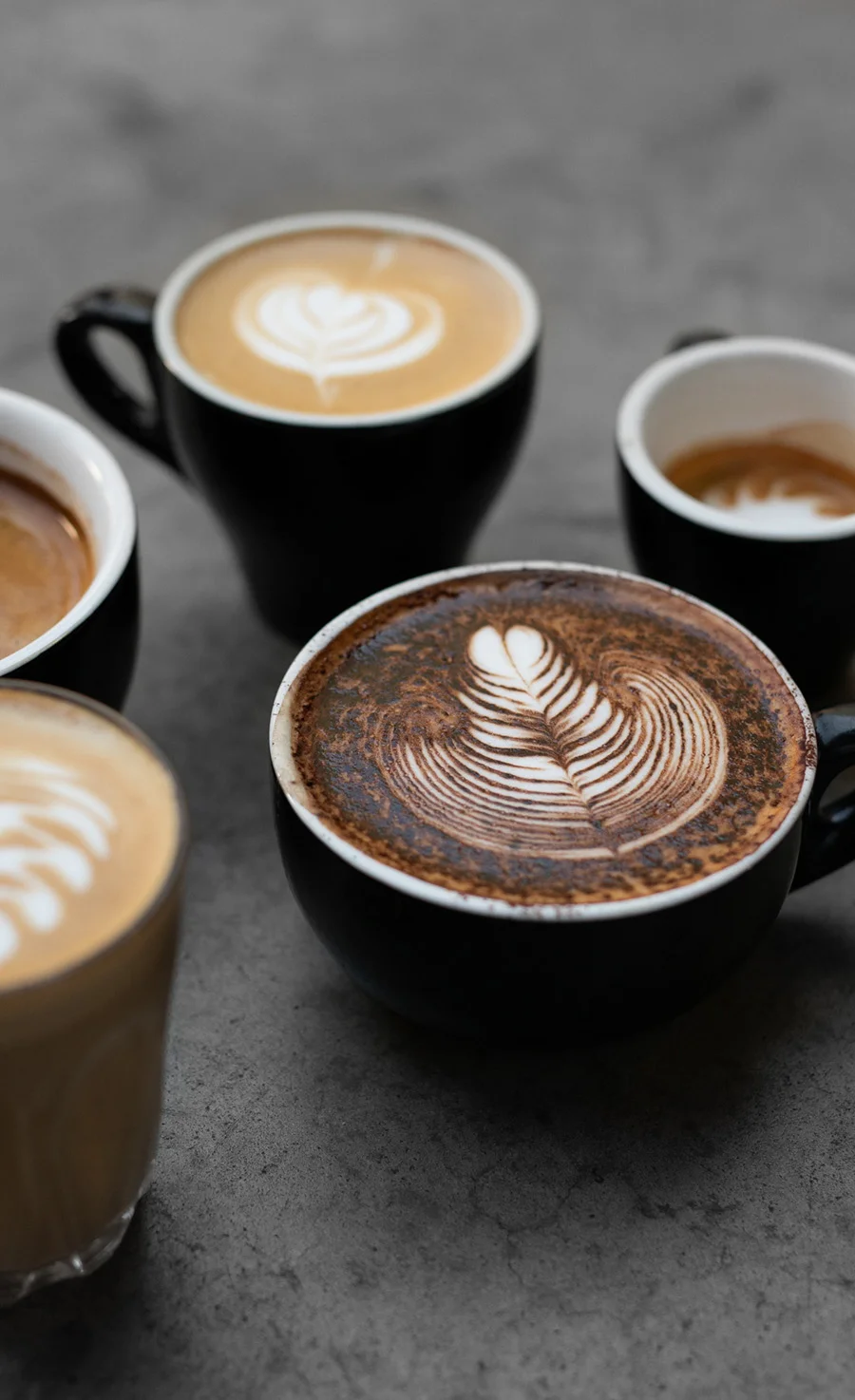 Sunshine Coast Coffee Roastery | Multi-Award Winning Coffee Beans