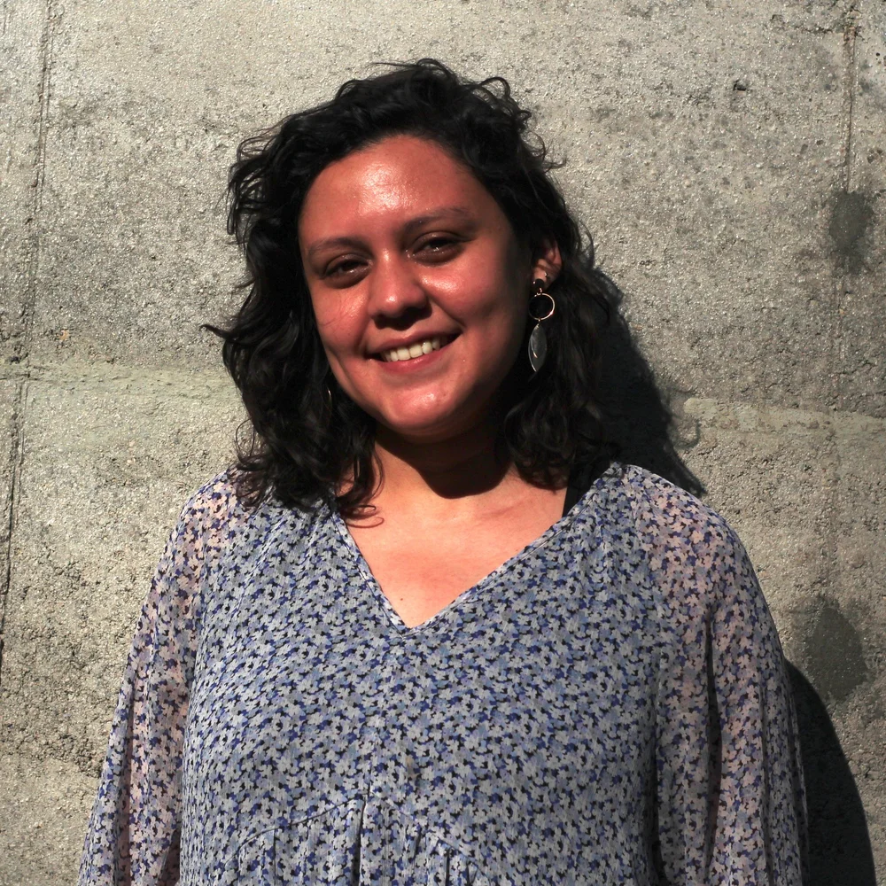 Policy Brief: SDG 11 — Global Youth Coalition for Road Safety