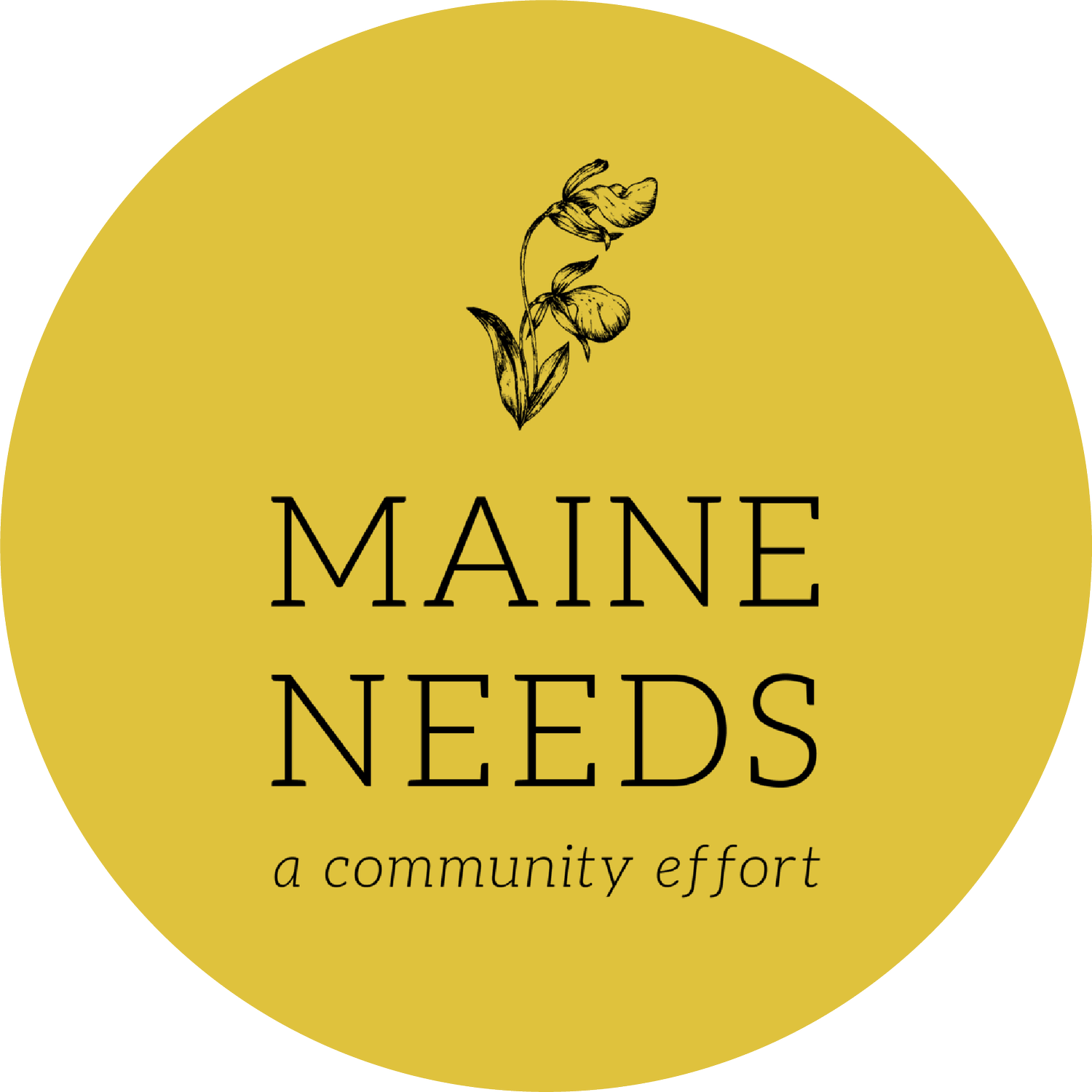 Donate items — Maine Needs