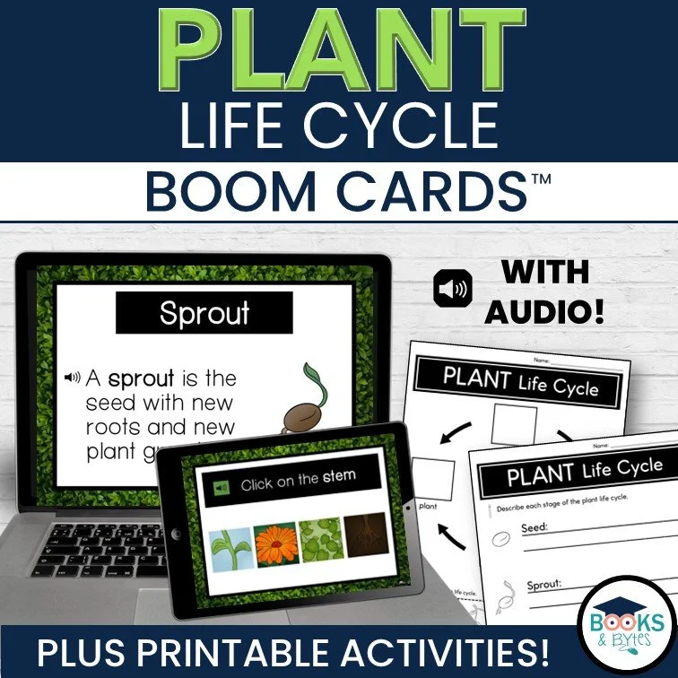 Fun Plant Life Cycle Activities for Kids — Books & Bytes Canada
