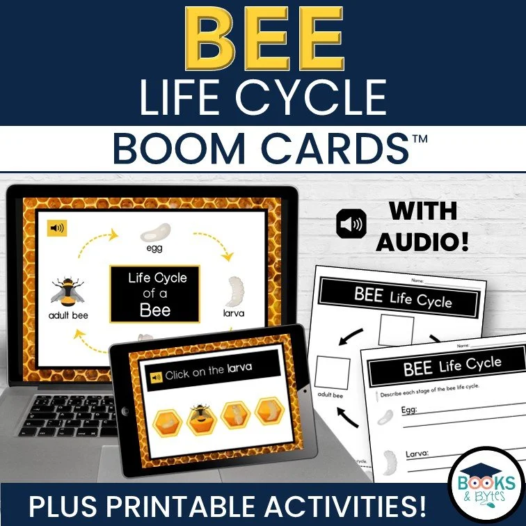 Bee Life Cycle — Books & Bytes Canada