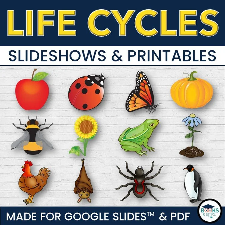 Duck life cycle book recommendations and lesson ideas. — Books & Bytes ...