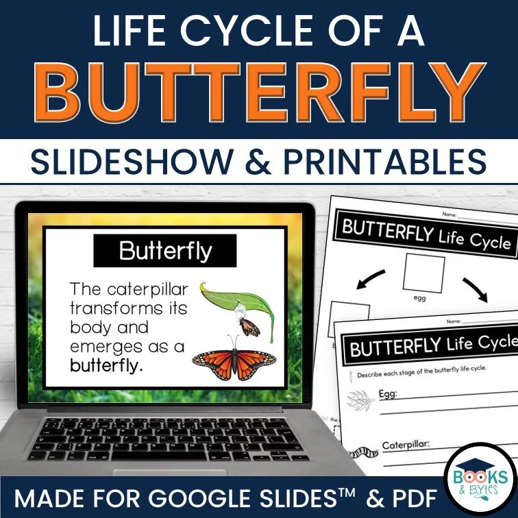 Butterfly Life Cycle — Books & Bytes Canada