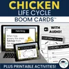 Duck life cycle book recommendations and lesson ideas. — Books & Bytes ...
