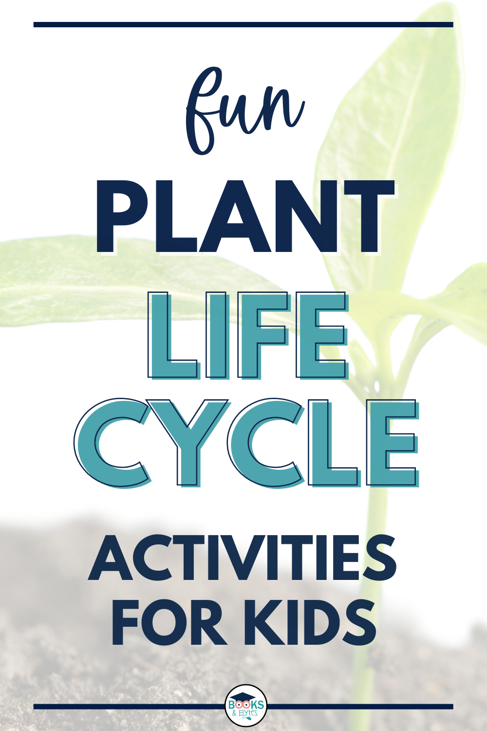 Fun Plant Life Cycle Activities for Kids — Books & Bytes Canada