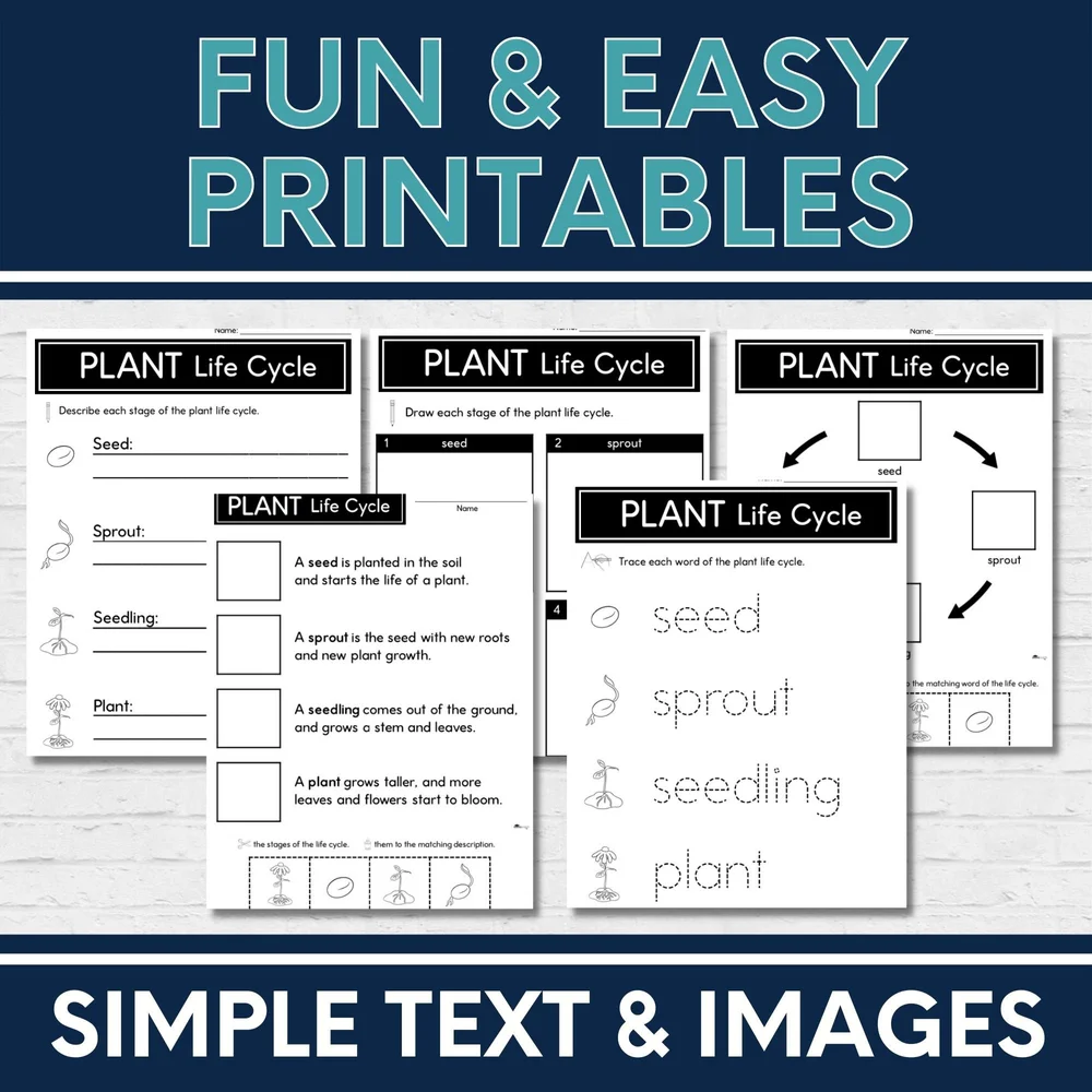 Fun Plant Life Cycle Activities for Kids — Books & Bytes Canada