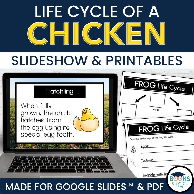 Duck life cycle book recommendations and lesson ideas. — Books & Bytes ...