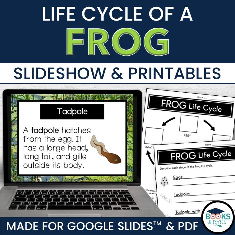 Book and lesson ideas about life cycle of a frog. — Books & Bytes Canada