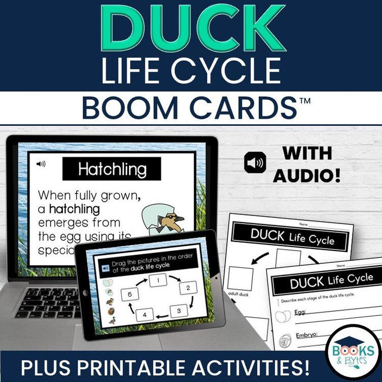 Duck life cycle book recommendations and lesson ideas. — Books & Bytes ...