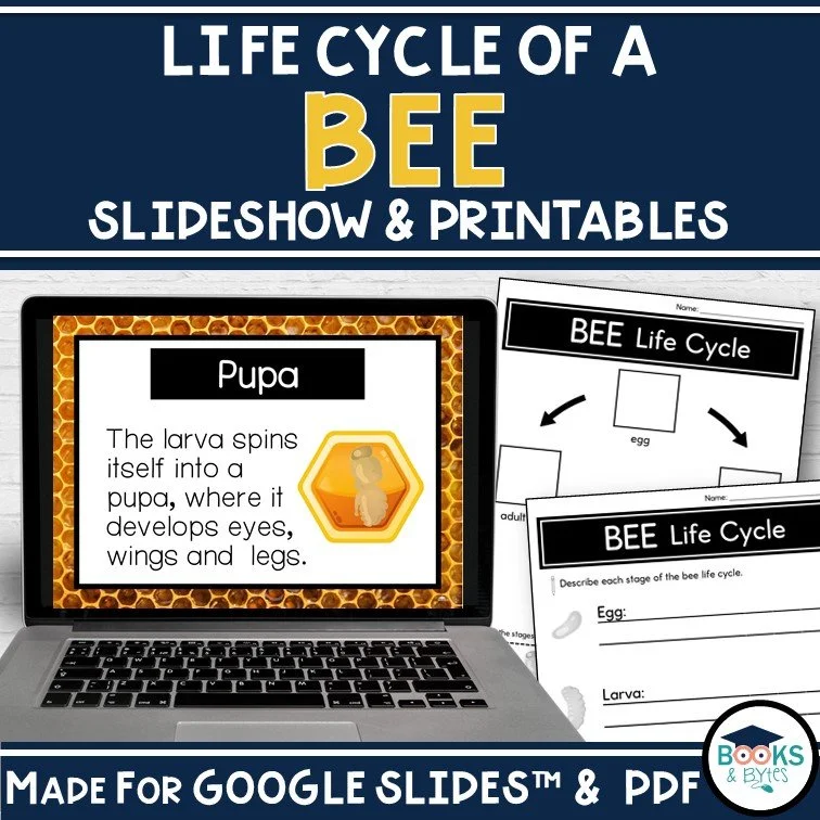 Book recommendations and lesson ideas for life cycle of a bee. — Books ...