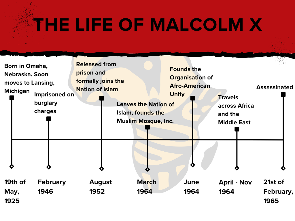 Malcolm X African Ancestry