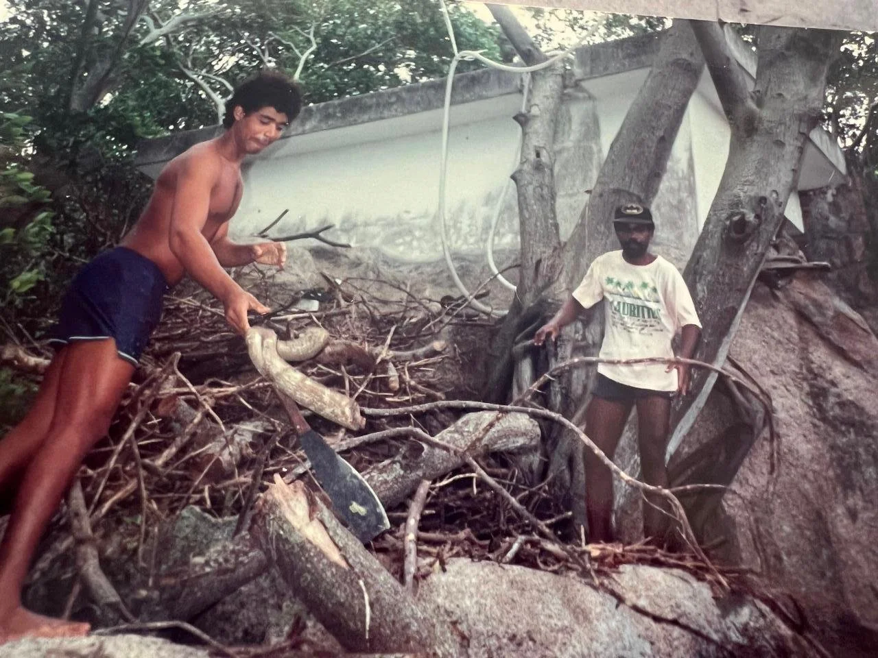 The History of Cousine Island — Cousine Island, Seychelles