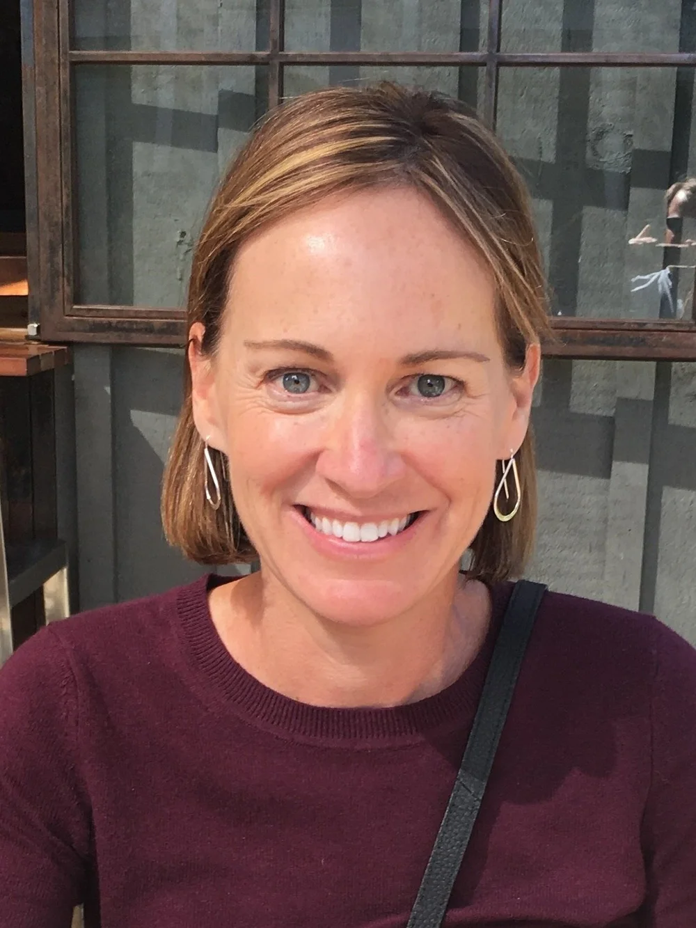 Friends Board — Friends of the Marblehead Public Schools