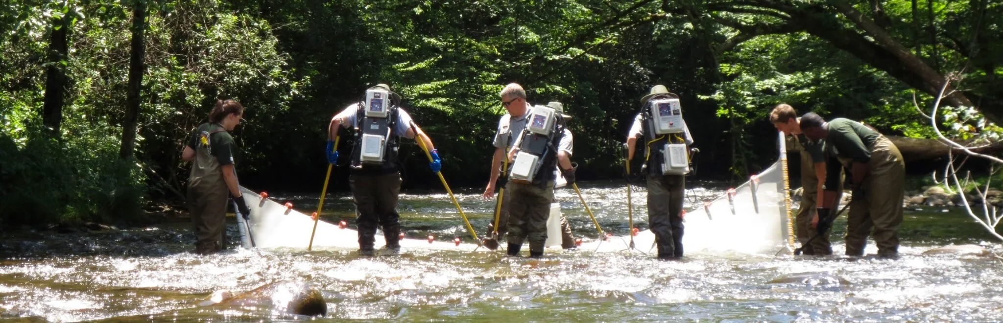 Home (Copy) — MicroFish