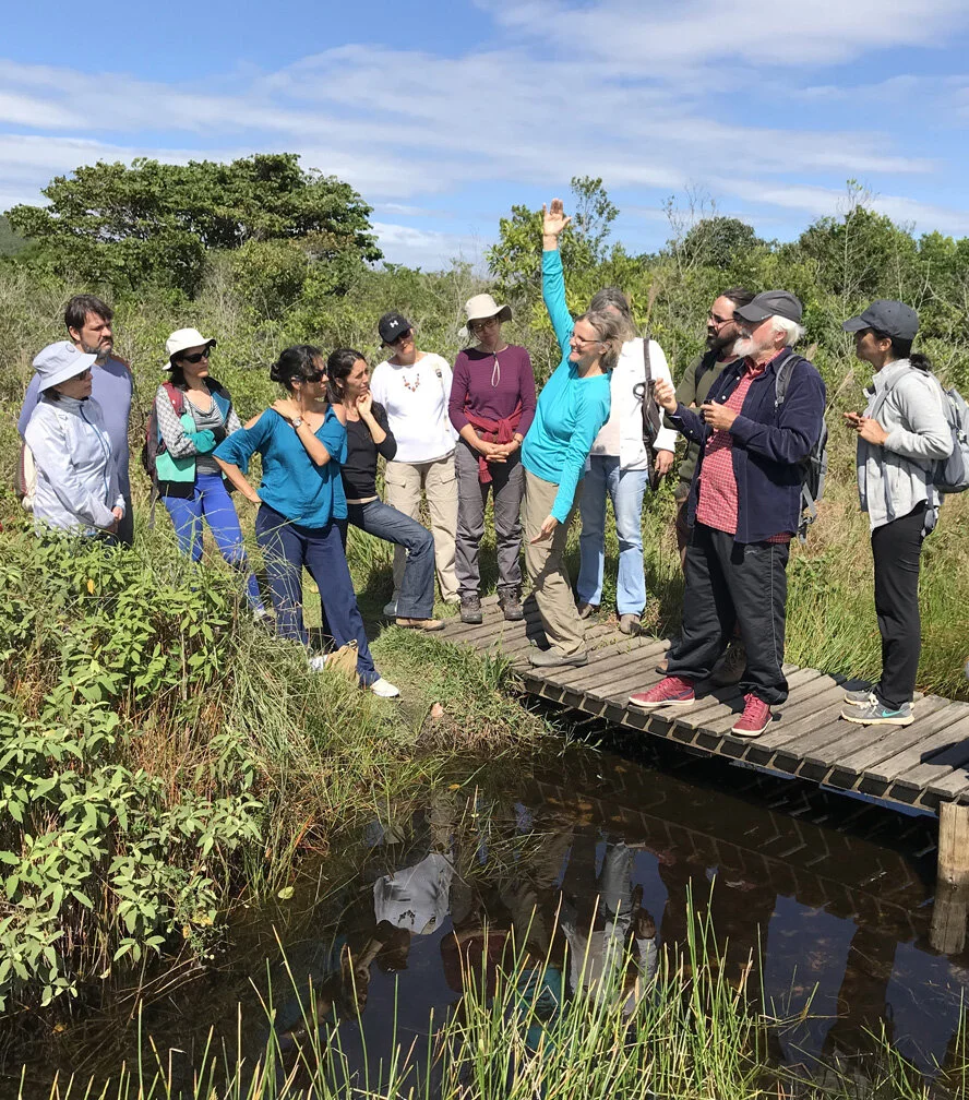 Education Programs: Overview & Approach — The Nature Institute