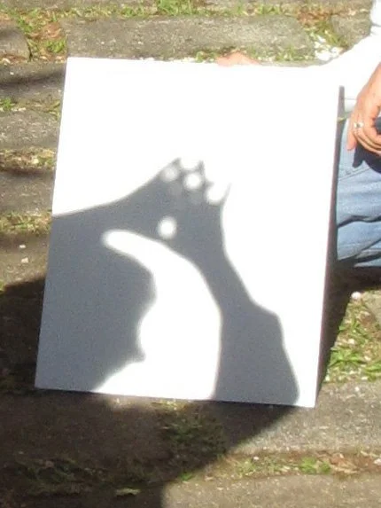 Shadows and the Sun — The Nature Institute