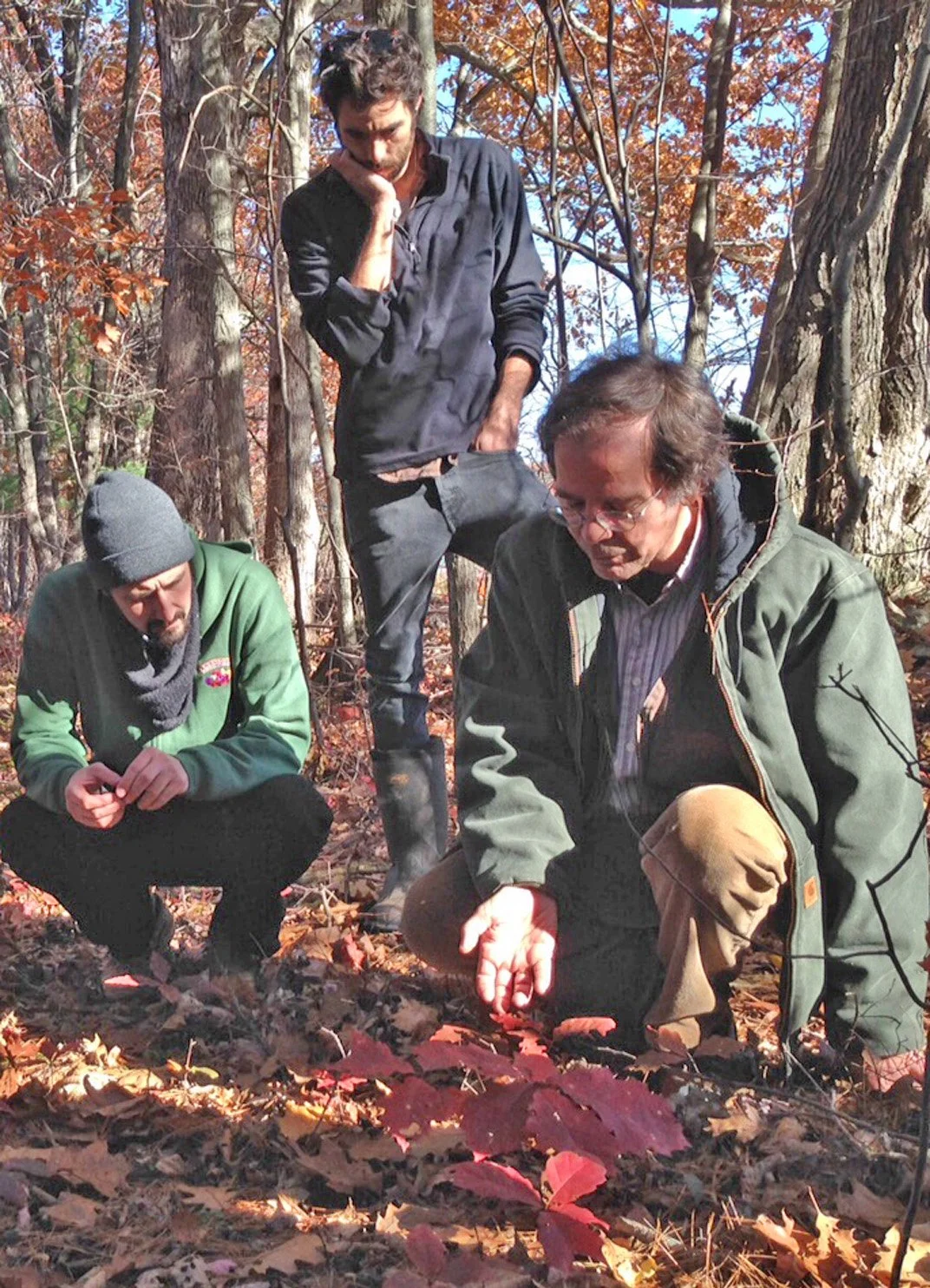 In Context 50 — The Nature Institute