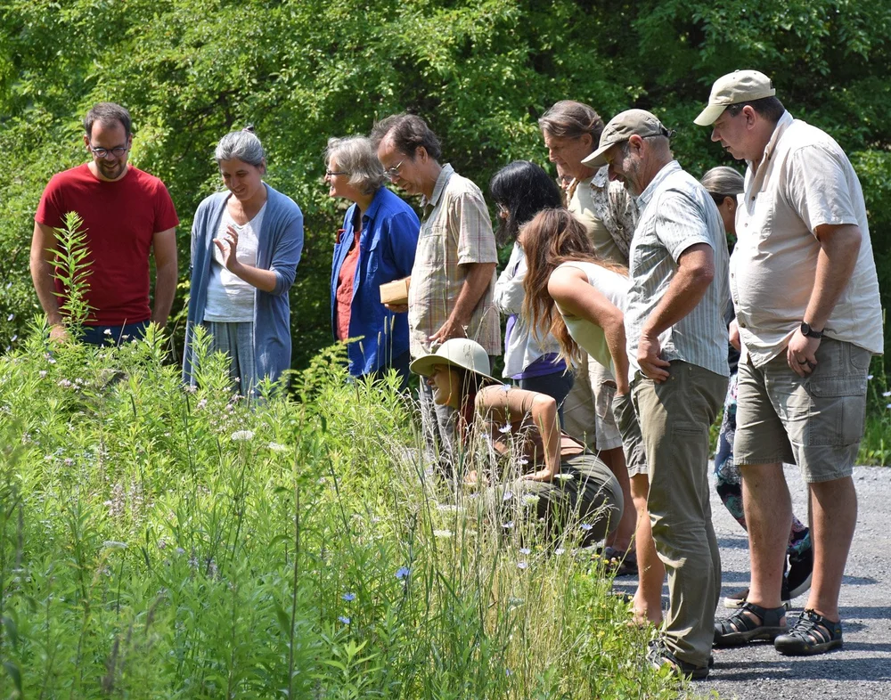 Plant Observation - Enhancing Our Capacities to Perceive and Understand ...